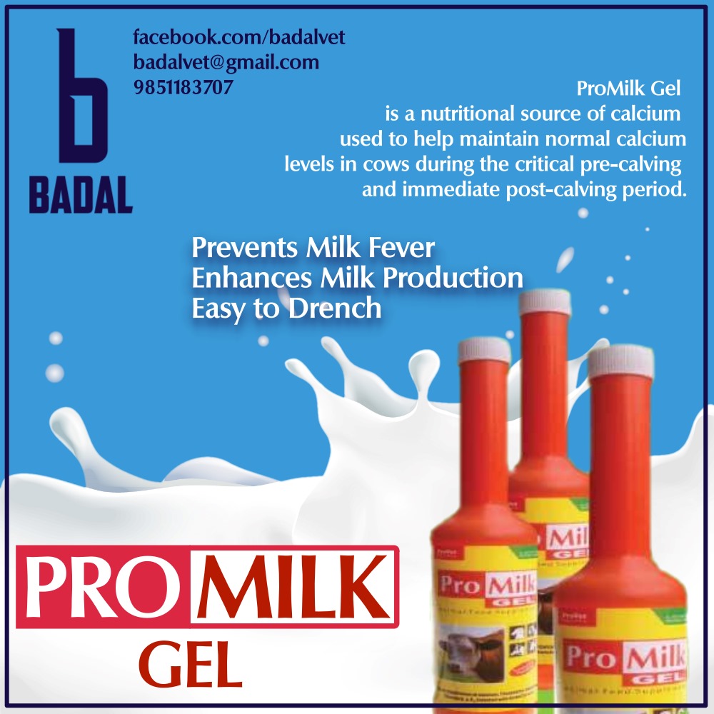 ProMilk Long Neck Gel